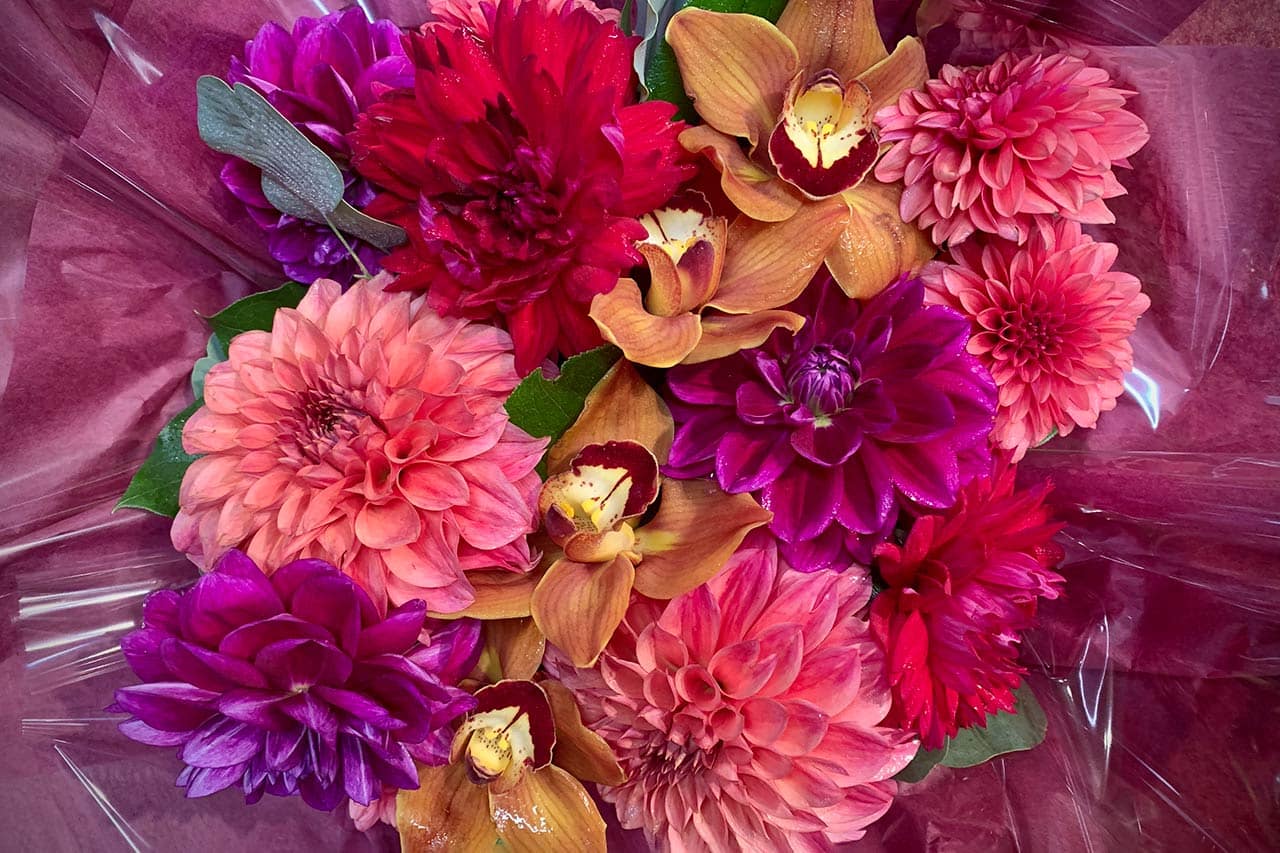 The Shop - Jerry Rose