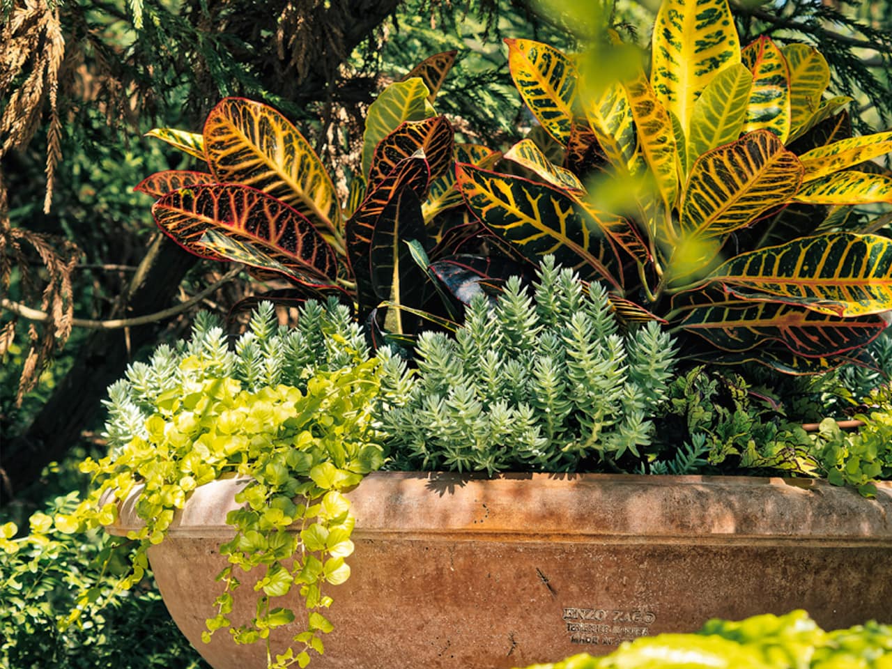 Home and Garden Services - Jerry Rose